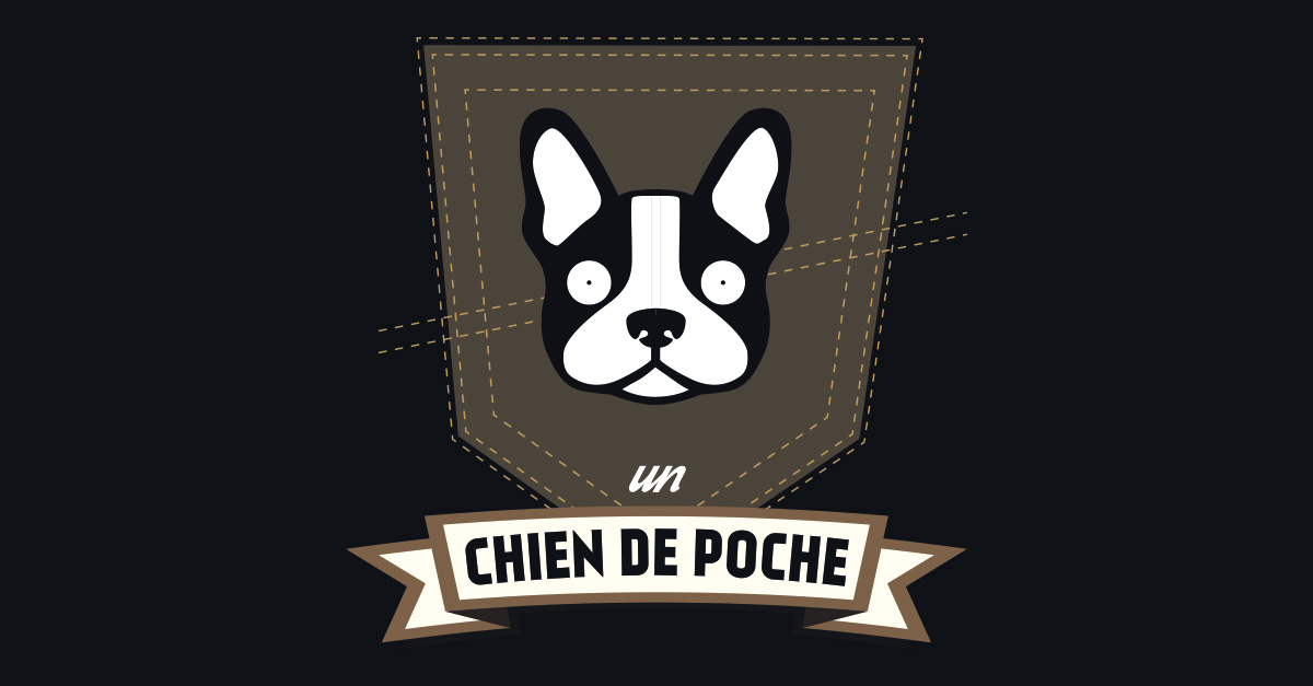 Expression québécoise : Chien de poche